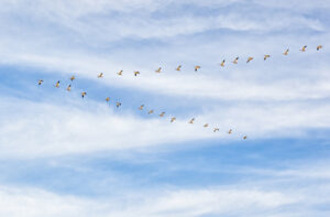 Toezicht met Gezag | Reputatie en naleving